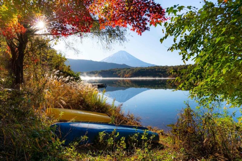 Tokyo: Private Mount Fuji Tour With 5 Lakes - English-Driver - Pickup and Drop-off Information