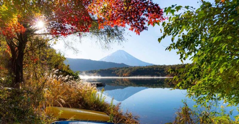 Tokyo: Private Mount Fuji Tour With 5 Lakes - English-Driver - Why Choose This Private Tour?