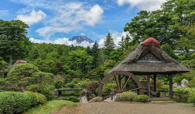 Tokyo: Private Mount Fuji Tour with Pickup and Drop-Off - Key Points