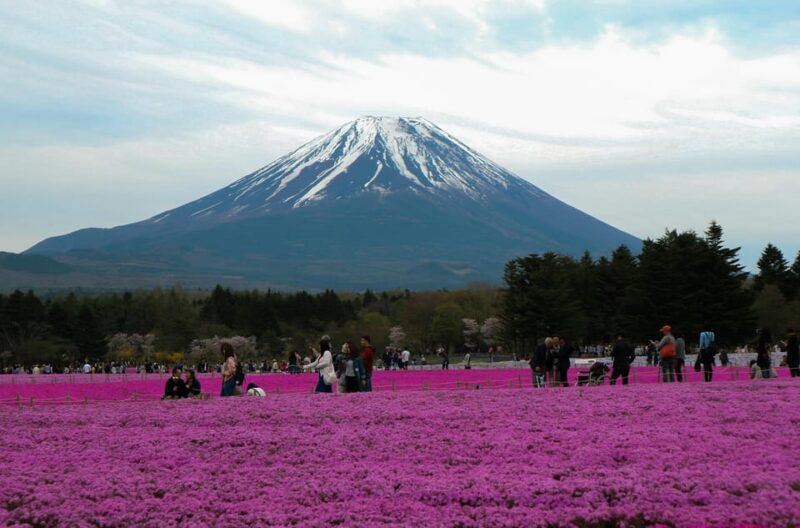 Tokyo: Private Mount Fuji Tour With Pickup and Drop-Off - Activities and Highlights