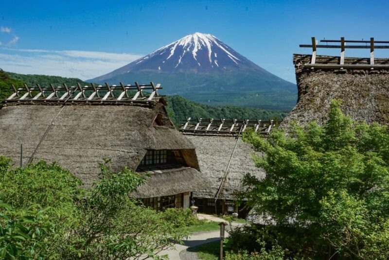 Tokyo: Private Mount Fuji Tour With Pickup and Drop-Off - Customer Ratings and Feedback