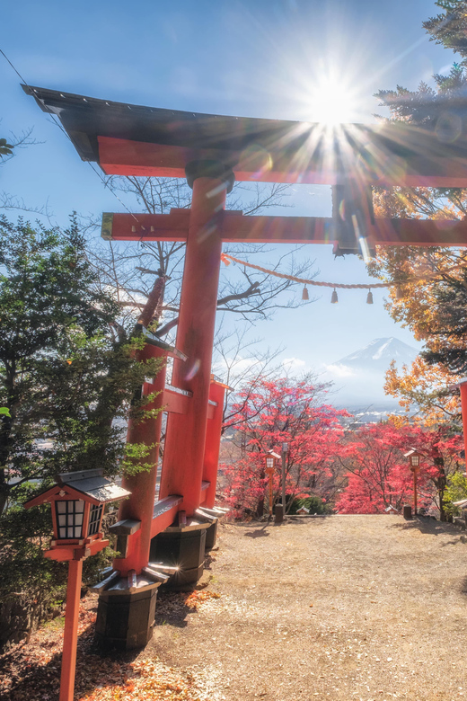 Tokyo: Private Mt.Fuji Day Trip With English-Speaking Driver - Important Information