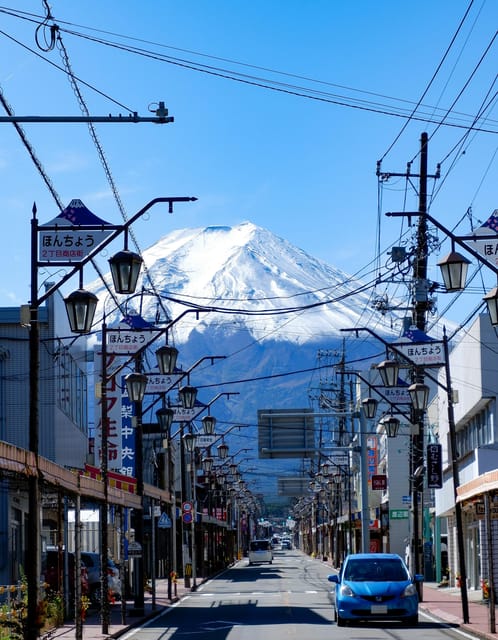 Tokyo: Private Mt.Fuji Day Trip With English-Speaking Driver - Additional Customization Options