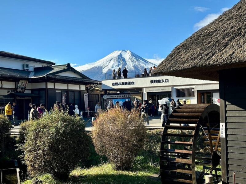 Tokyo: Private Mt. Fuji Scenic & Premium Outlets Tour - Itinerary & Highlights