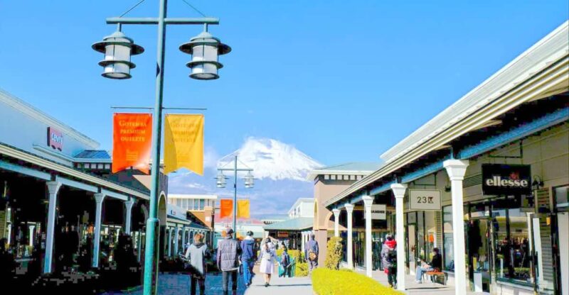Tokyo: Private Mt. Fuji Scenic & Premium Outlets Tour - Transportation & Guide