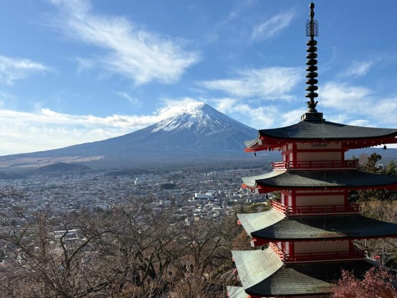 Tokyo: Private Mt. Fuji Scenic & Premium Outlets Tour - Important Information