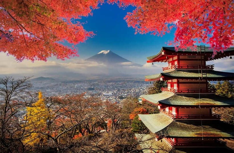 Tokyo: Private Mt. Fuji Tour: Best Views - Local Expert - An Introduction to the Private Mt. Fuji Experience
