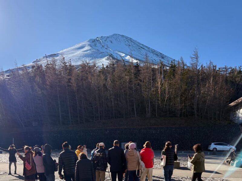 Tokyo: Private Mt. Fuji Tour With Breathtaking Views - Iconic Photo Opportunity at Chureito Pagoda