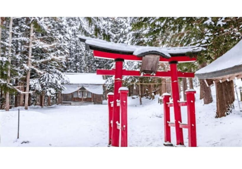 Tokyo: Private Nikko Sightseeing Tour In Luxury Land Cruiser - Who Will Love This Tour?