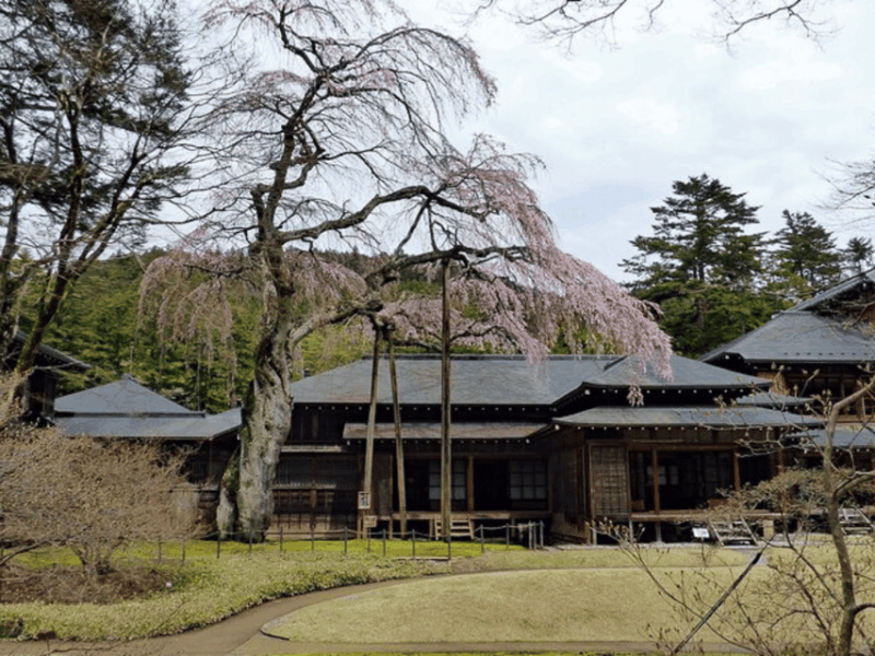 Tokyo: Private Nikko Sightseeing Tour In Luxury Land Cruiser - Transportation and Amenities