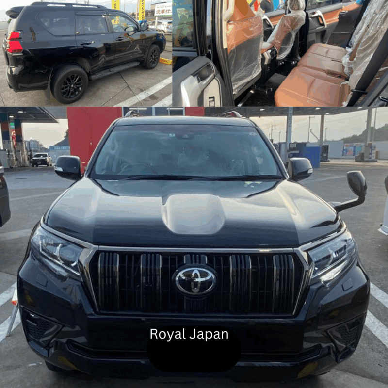 Tokyo: Private Nikko Sightseeing Tour In Luxury Land Cruiser - Customizing Your Sightseeing Adventure