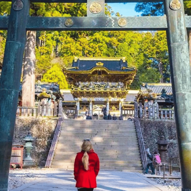Tokyo: Private Nikko World Heritage Instagramable Day Tour - Transportation and Amenities