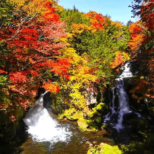 Tokyo: Private Nikko World Heritage Instagramable Day Tour - Driver and Communication