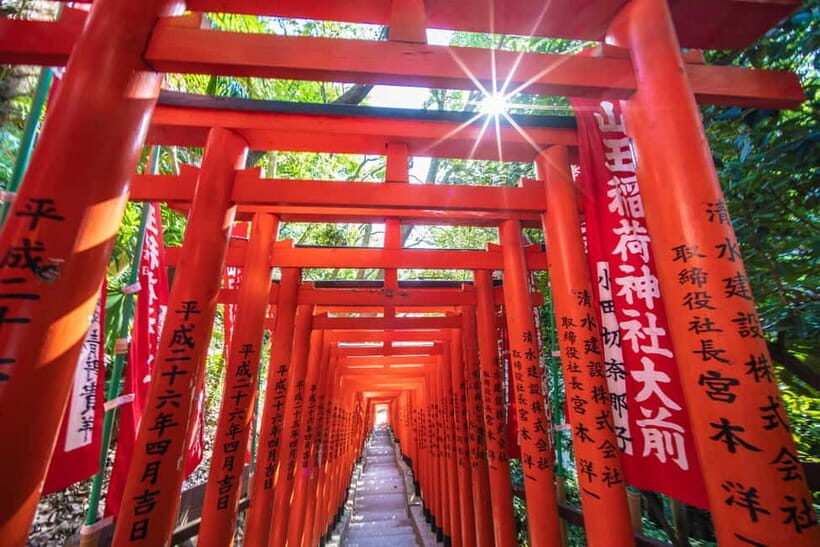 Tokyo: Private Shinto Shrines Tour by Car with Local Guide - Who Will Appreciate This Tour Most?