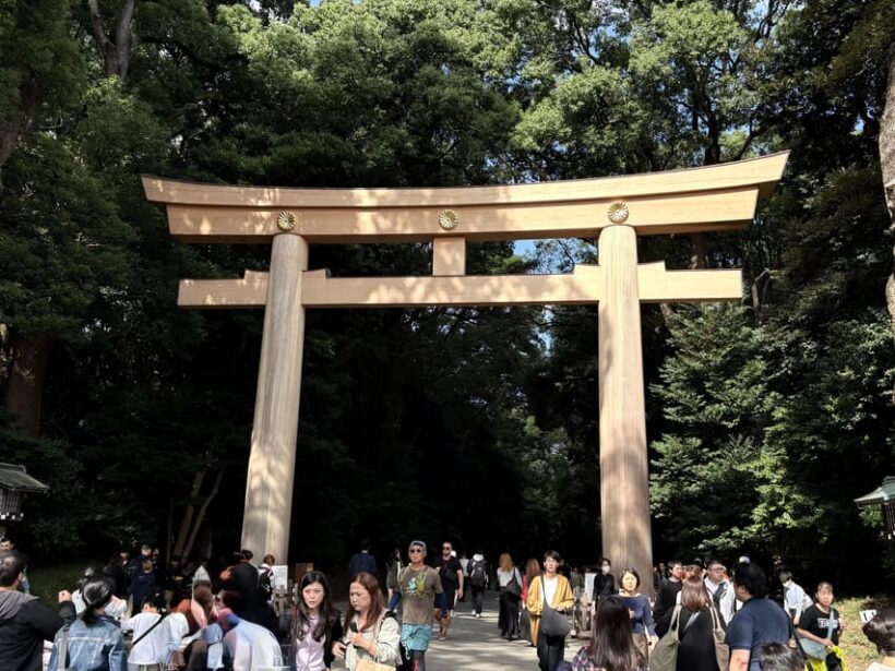 Tokyo: Private Sightseeing Tour by Car with Local Guide - Exploring Tokyo in Comfort: A Review of the Private Sightseeing Tour by Car with a Local Guide