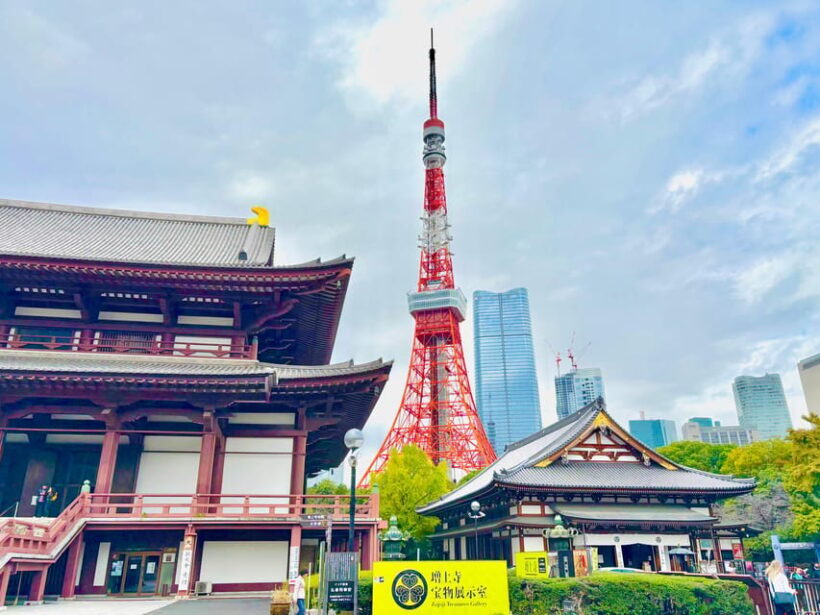 Tokyo: Private Sightseeing Tour by Car with Local Guide - The Sum Up