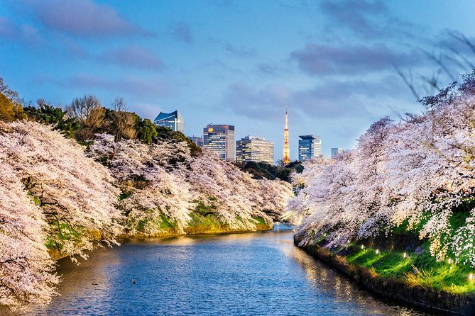 Tokyo Private Sightseeing Tour by English Speaking Chauffeur - Inclusions and Logistical Details