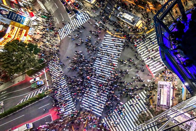 Tokyo Private Sightseeing Tour by English Speaking Chauffeur - Customer Reviews and Tour Experiences