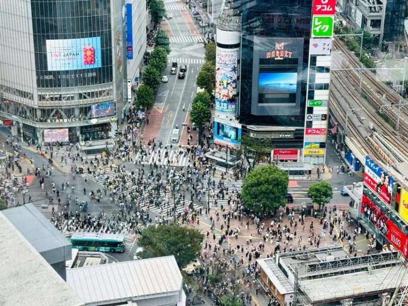 Tokyo: Private Tailored Tour With a Local Guide - Visiting Meiji Shrine