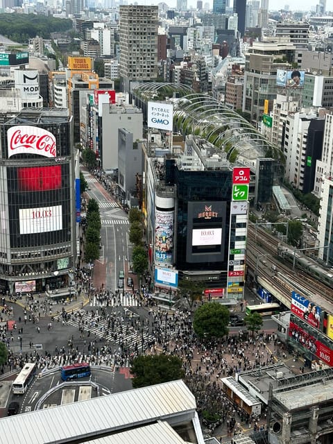 Tokyo: Private Tailored Tour With a Local Guide - Frequently Asked Questions