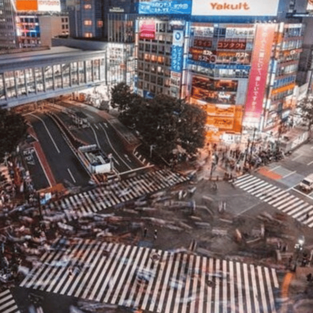 Tokyo: Private Tokyo City Customize Tour Must Seen Places - Key Points