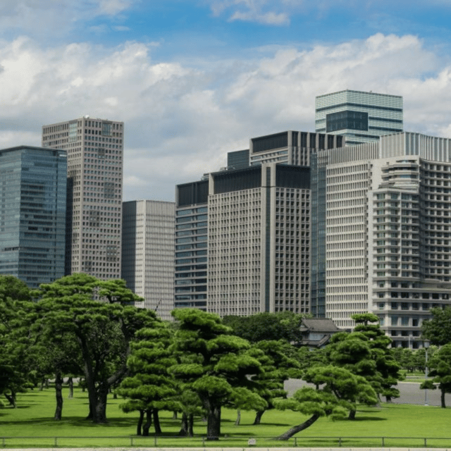 Tokyo: Private Tokyo City Customize Tour Must Seen Places - Sensō-ji Temple Guided Visit and Photo Stop