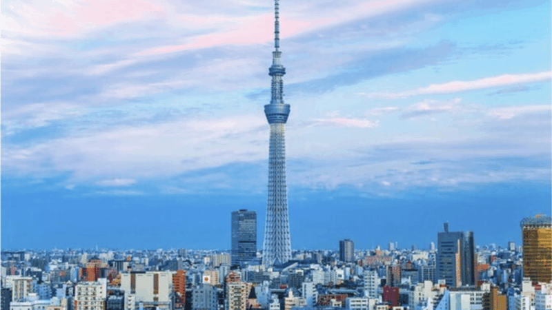 Tokyo: Private Tokyo City Must Seen Places By English Guide - Key Points
