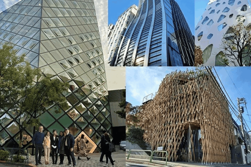 Tokyo Private Tour - Cultural Experience