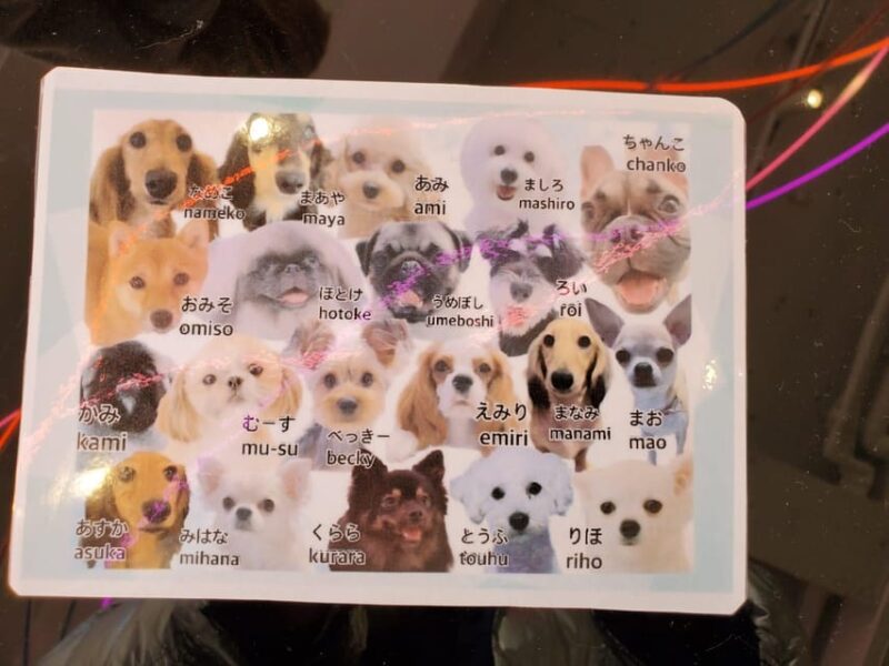 Tokyo Private Tour - Transportation