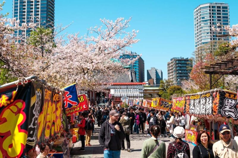 Tokyo Private Tour: Best Places With a Local - Discover Sensō-ji Temple and Asakusa