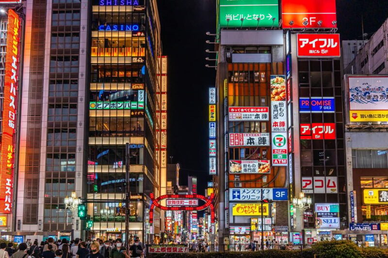 Tokyo Private Tour: Best Places With a Local - Explore Ueno and Akihabara