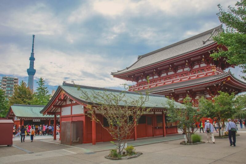 Tokyo Private Tour by Car With English Speaking Chauffeur - Key Points