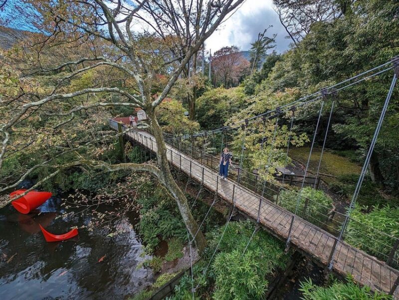 Tokyo Private Tour by Car With Pick up - Itinerary and Sightseeing Options