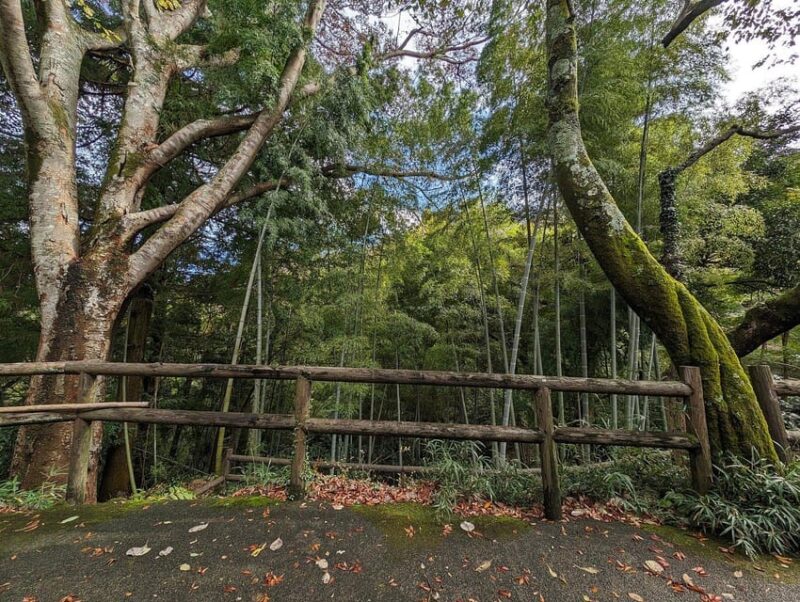 Tokyo Private Tour by Car With Pick up - Frequently Asked Questions