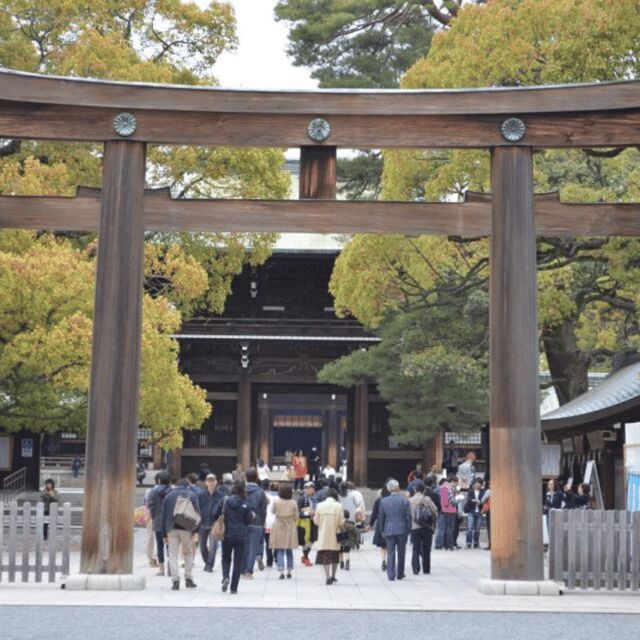 Tokyo Private Tour  Custom Itinerary & Hotel Pickup - Key Points