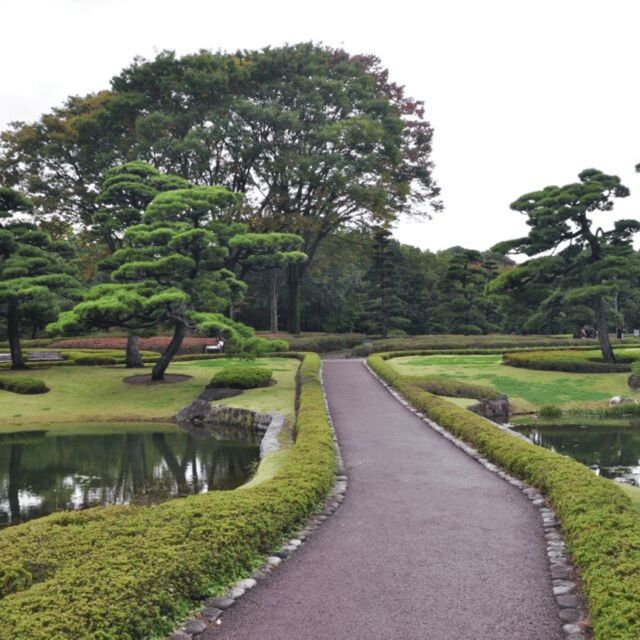 Tokyo Private Tour  Custom Itinerary & Hotel Pickup - The Experience of the Day: Comfort and Personal Touch
