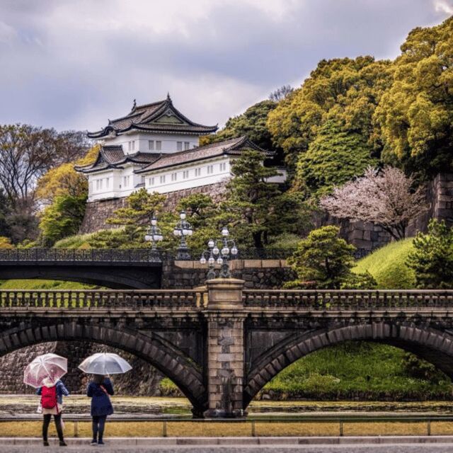Tokyo Private Tour  Custom Itinerary & Hotel Pickup - Final Thoughts