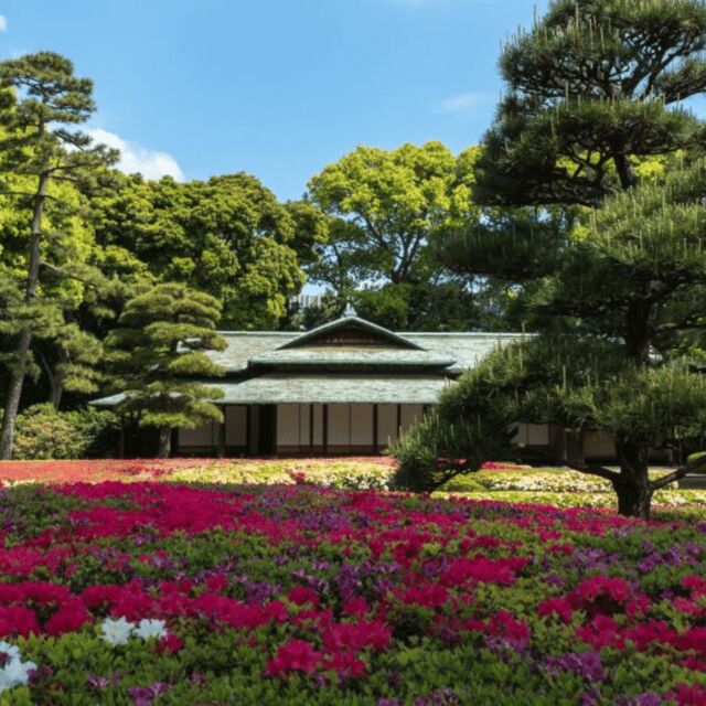 Tokyo Private Tour  Custom Itinerary & Hotel Pickup - FAQs