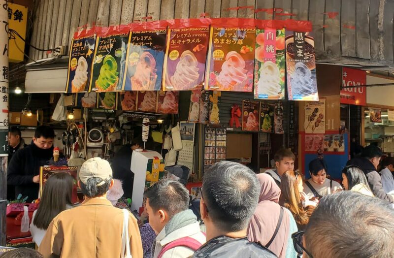 Tokyo Private Tour/English Driver GREEN NUMBER PLATES - Customer Reviews