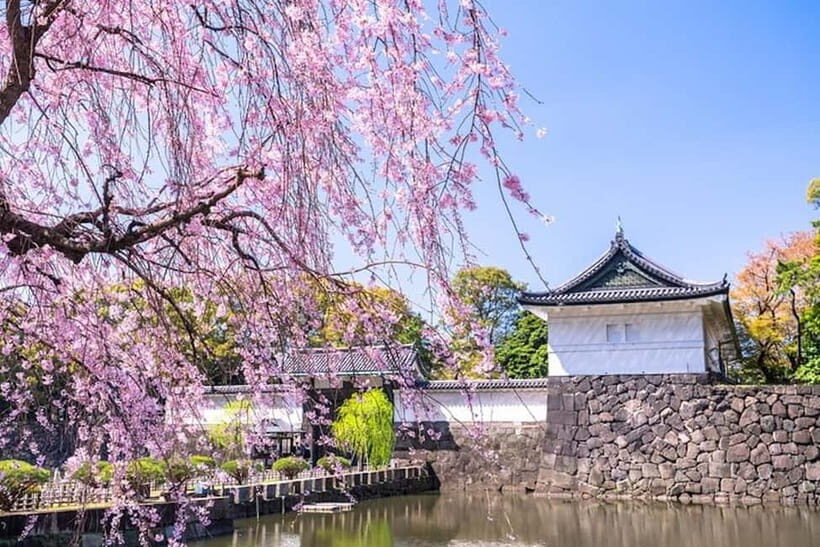 Tokyo: Private Tour of the Imperial Palace East Gardens - Key Points