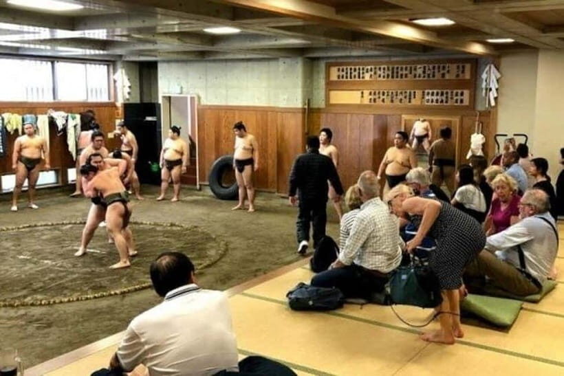 Tokyo: Private Tour & Sumo Wrestler Morning Practice Viewing - Key Points
