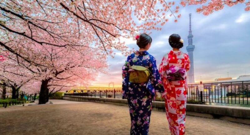 Tokyo Private Tour With English Pro Guide by Luxary Vehivle - Key Points