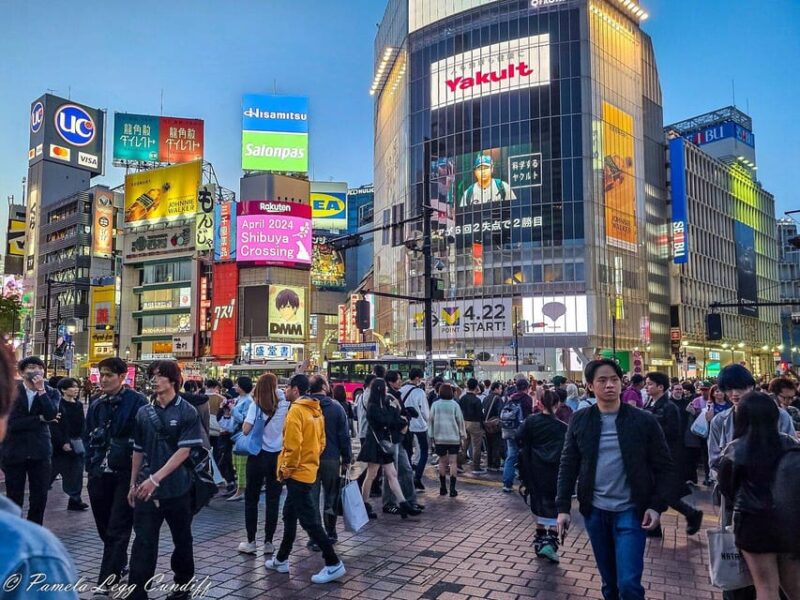 Tokyo Private Tour With English Pro Guide by Luxary Vehivle - Guided Experience
