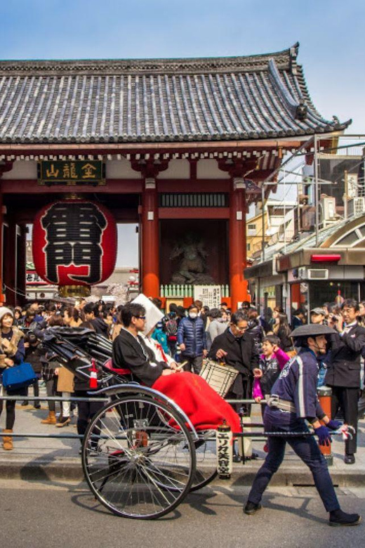 Tokyo Private Tour With English Pro Guide by Luxary Vehivle - Important Information