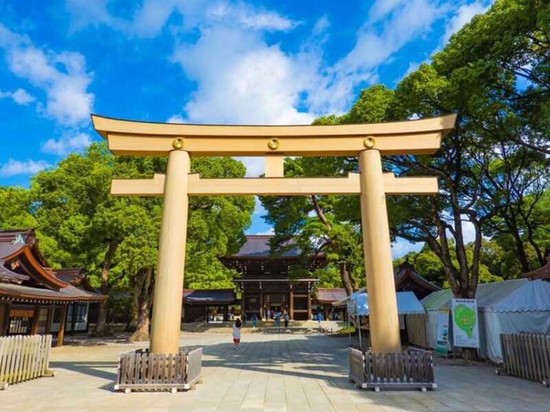 Tokyo Private Tour With English Pro Guide by Luxary Vehivle - Frequently Asked Questions