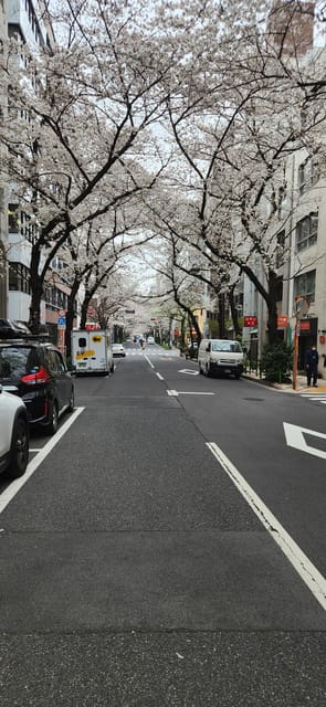 Tokyo Private Tour With English Speaking Driver - Key Points