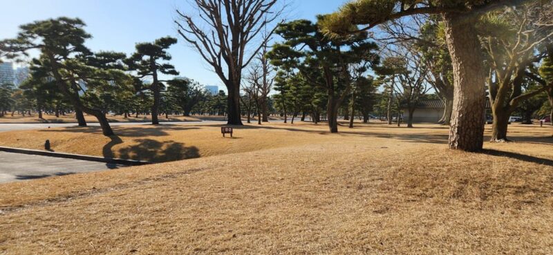 Tokyo Private Tour With English Speaking Driver - Tour Highlights