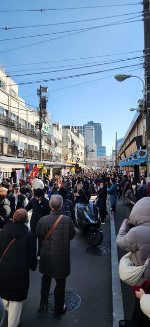 Tokyo Private Tour With English Speaking Driver - Transportation and Convenience