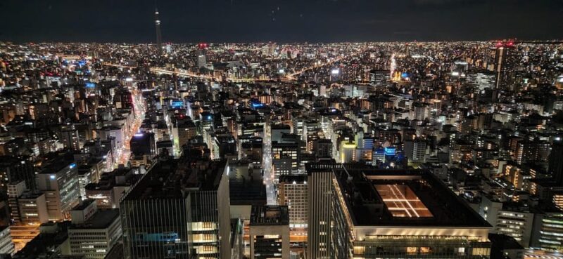 Tokyo Private Tour With English Speaking Driver - Experience and Flexibility