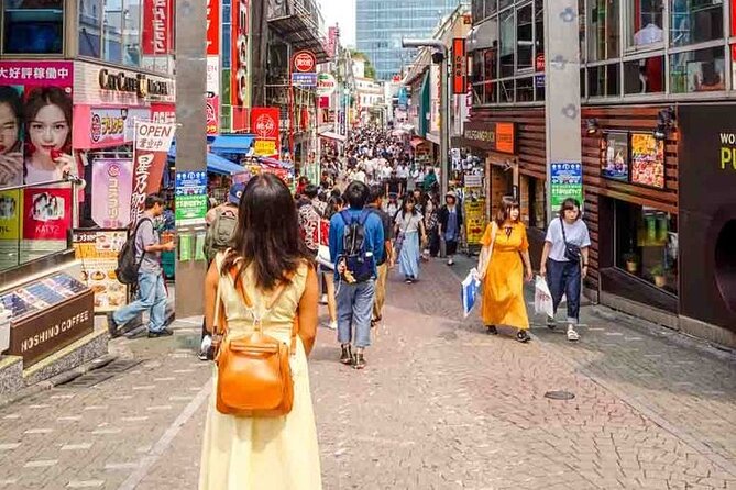 Tokyo Private Trip With English Speaking Driver - Key Points